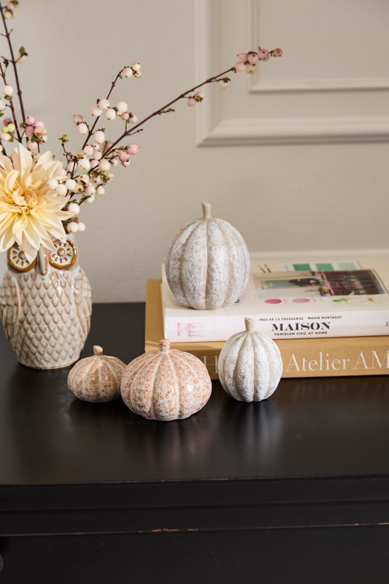 Pumpkin Patch Set - Choose Style – Cotton & Crete