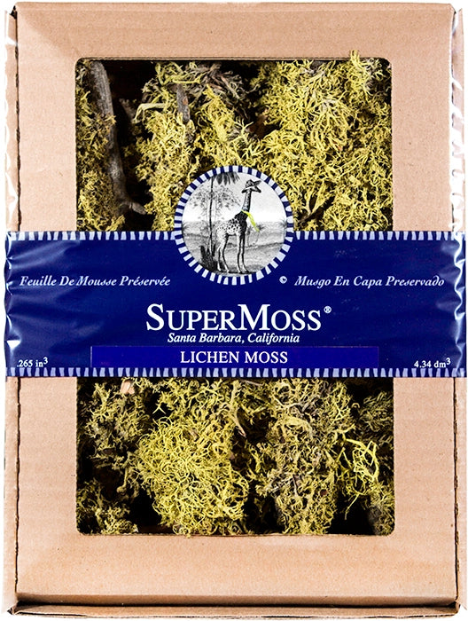 Branched Wolfen Liche Moss – Cotton & Crete