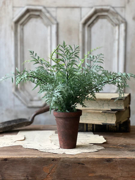 14" Foundry Potted Fern – Cotton & Crete