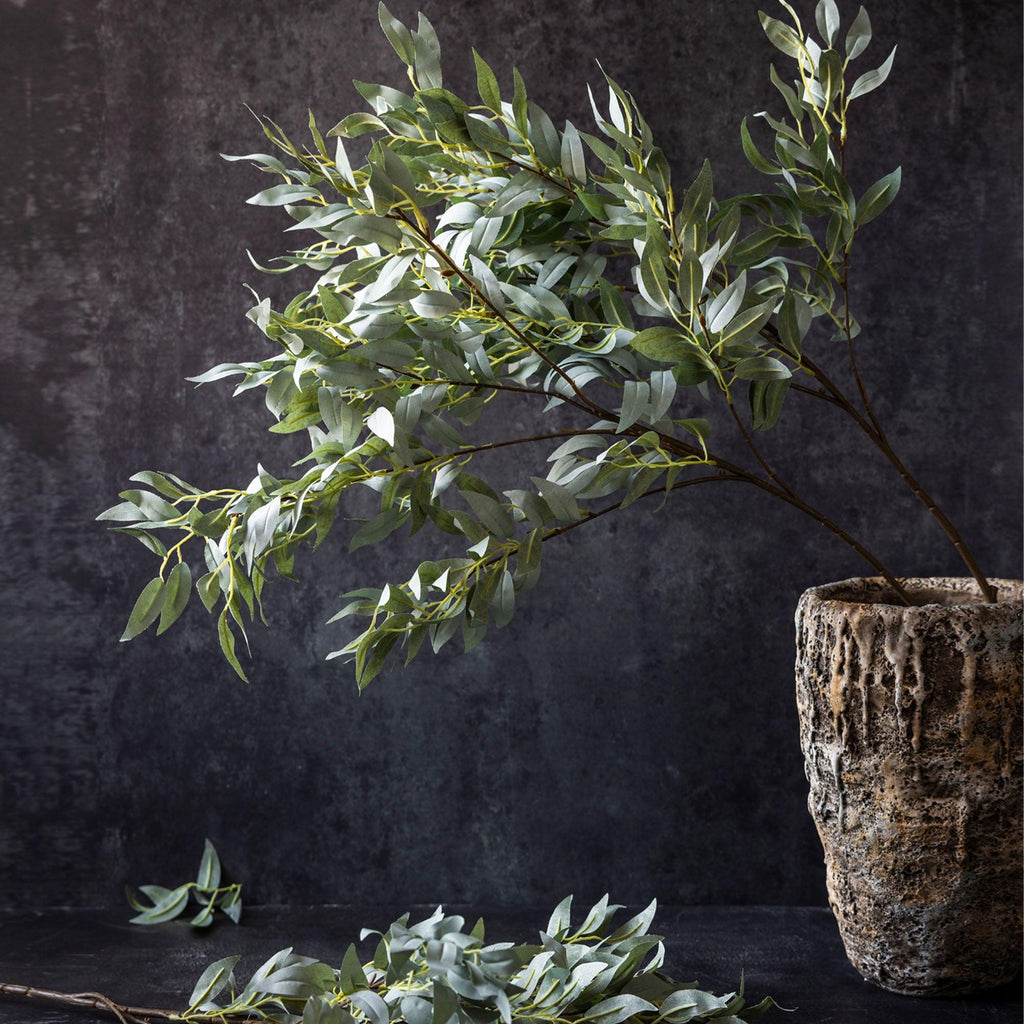 37" Emerald Willow Stem – Cotton & Crete