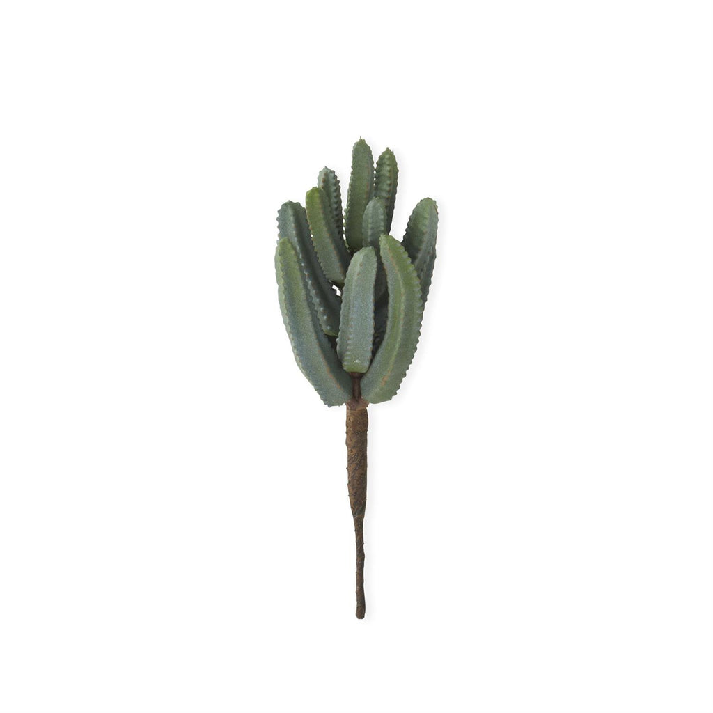 9" Dark Green Euphorbia Cactus Pick – Cotton & Crete