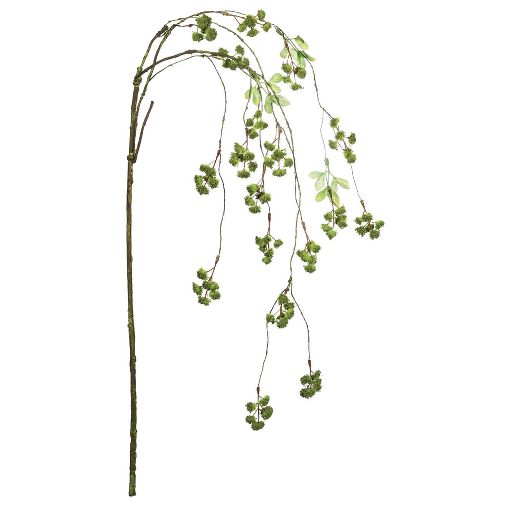 48" Hanging Irish Moss Stem – Cotton & Crete