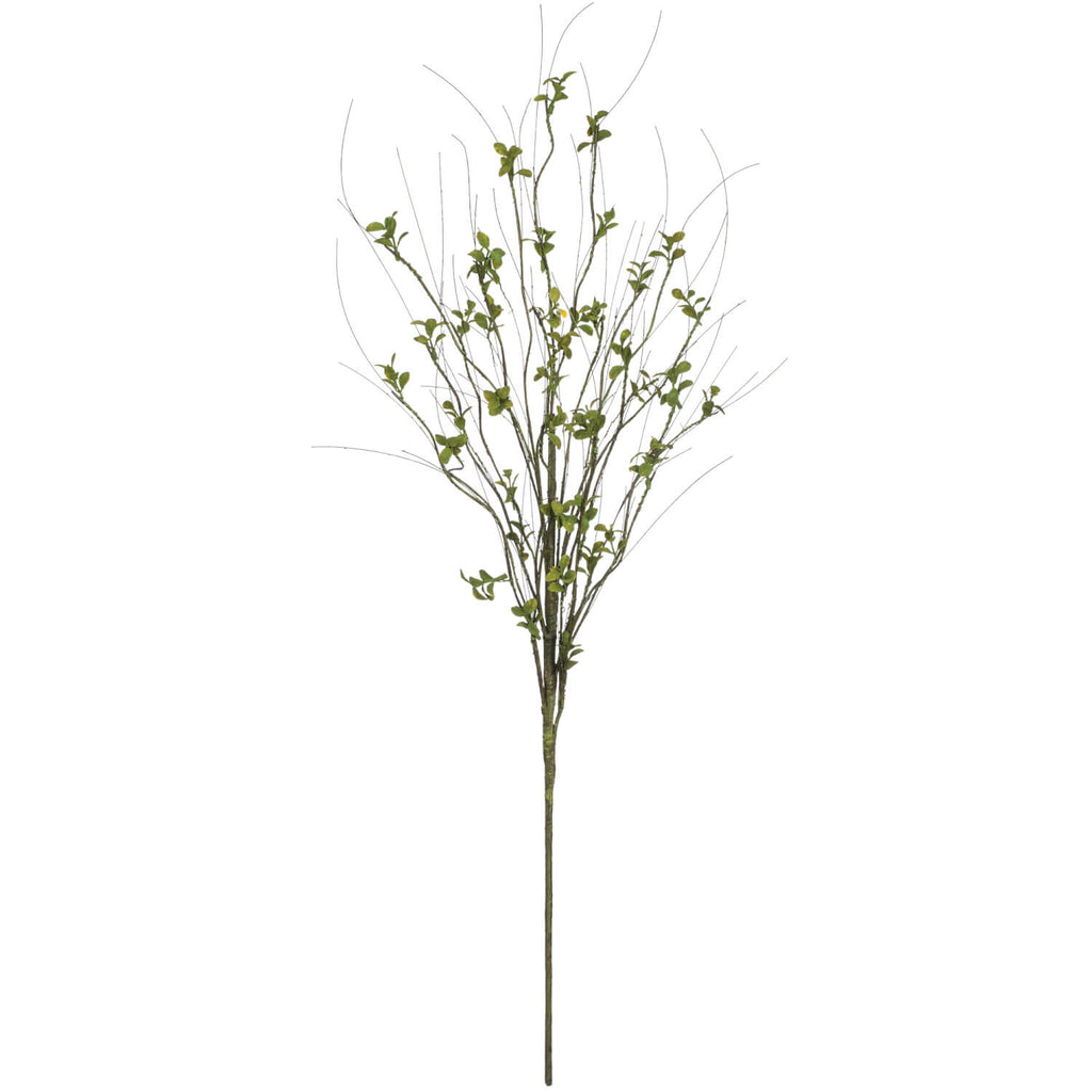 50" Wispy Leaf Foliage Spray – Cotton & Crete