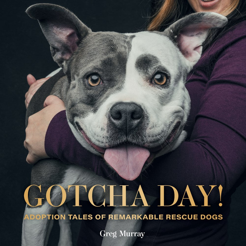 Gotcha Day Book – Cotton & Crete