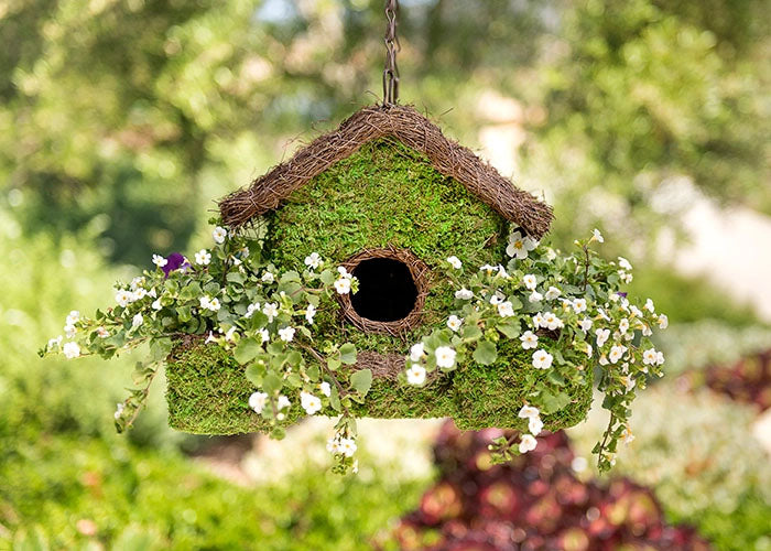 Plantable Maison Moss Birdhouse – Cotton & Crete