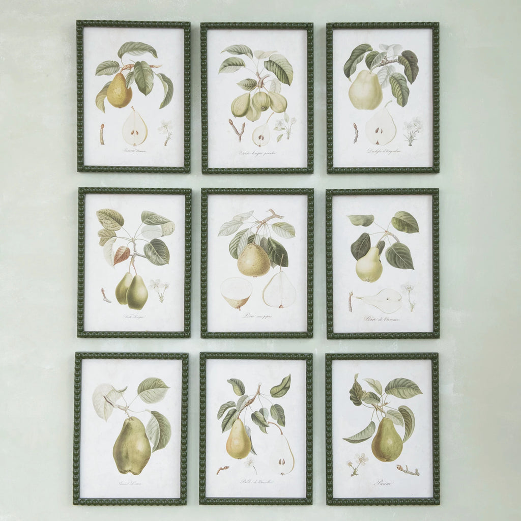 Set of 9 Vintage Style Pear Prints in Green Hobnail Frame - More Comin ...